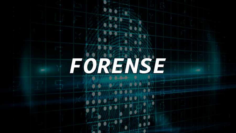 Curso de Pentest - HackerSec